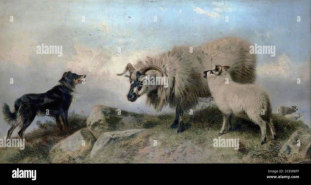 Ansdell Richard - Sheep and a Collie - British School - 19th Century ...
