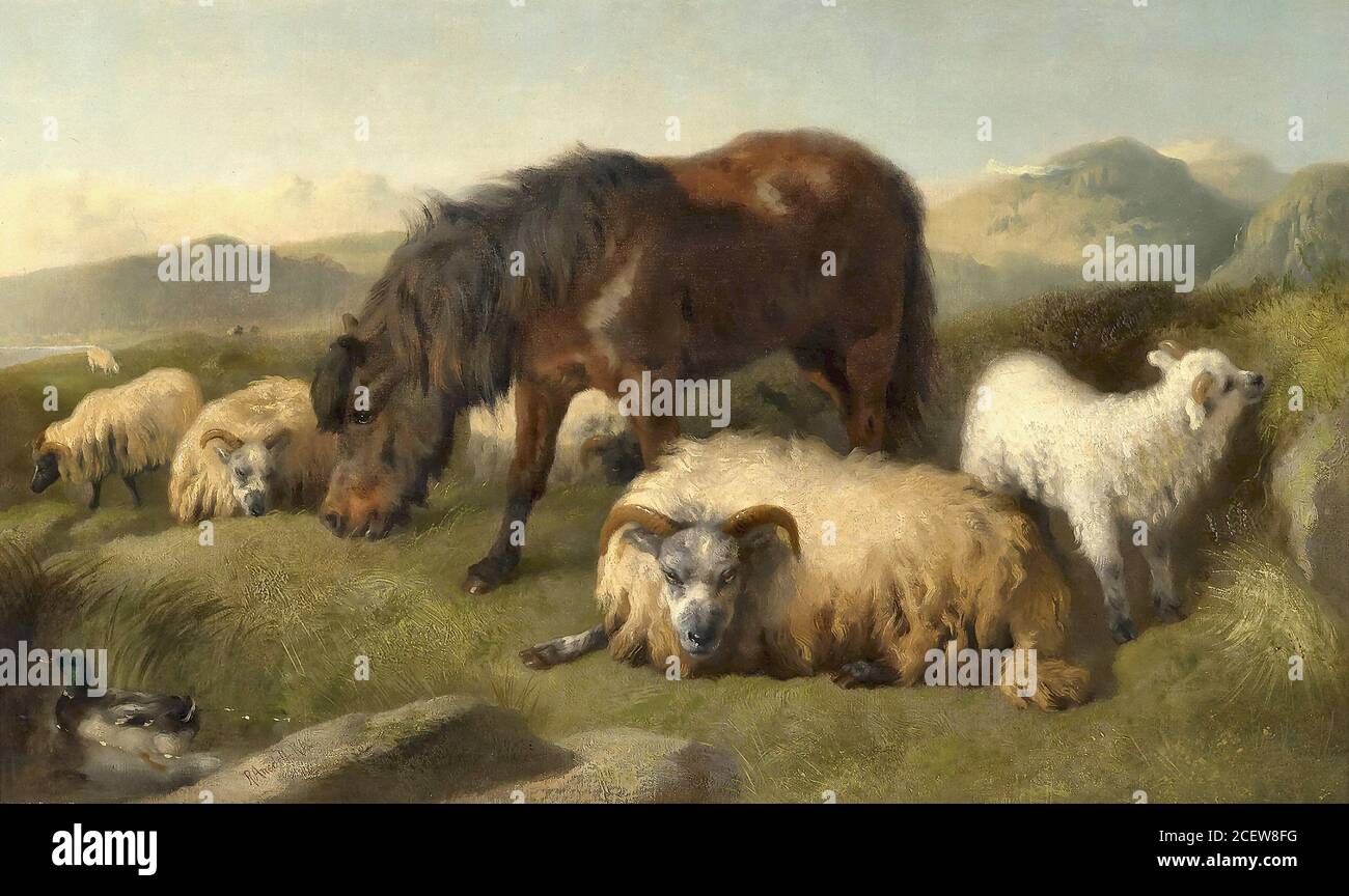 Ansdell Richard - Sheep and a Pony - British School - 19th Century ...