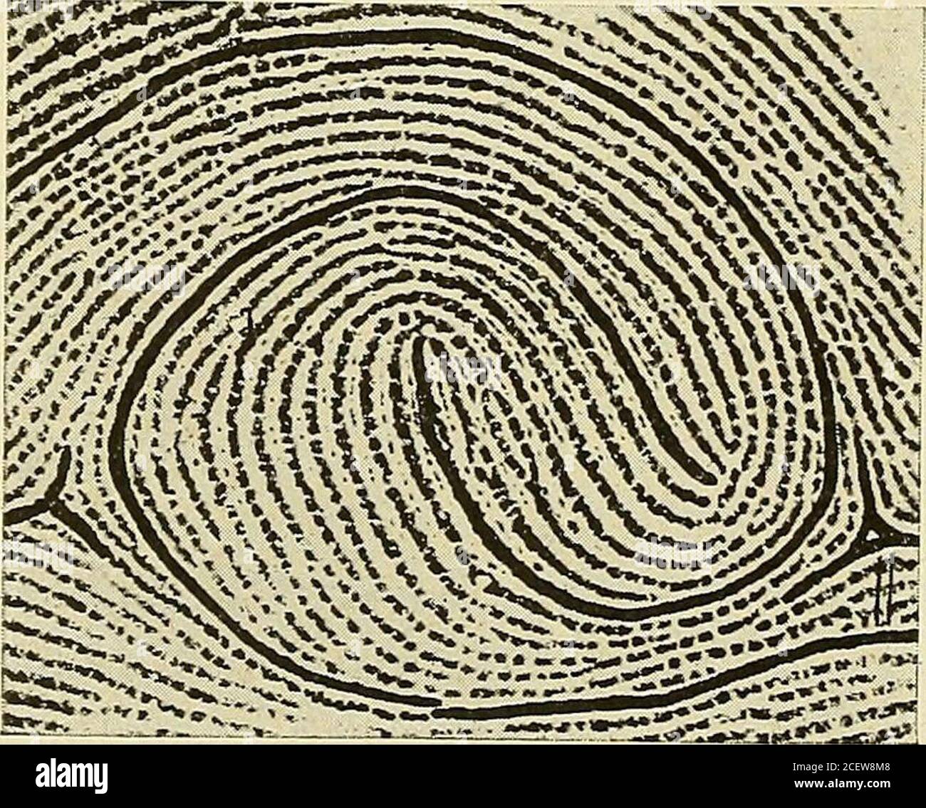 . Personal identification; methods for the identification of ...