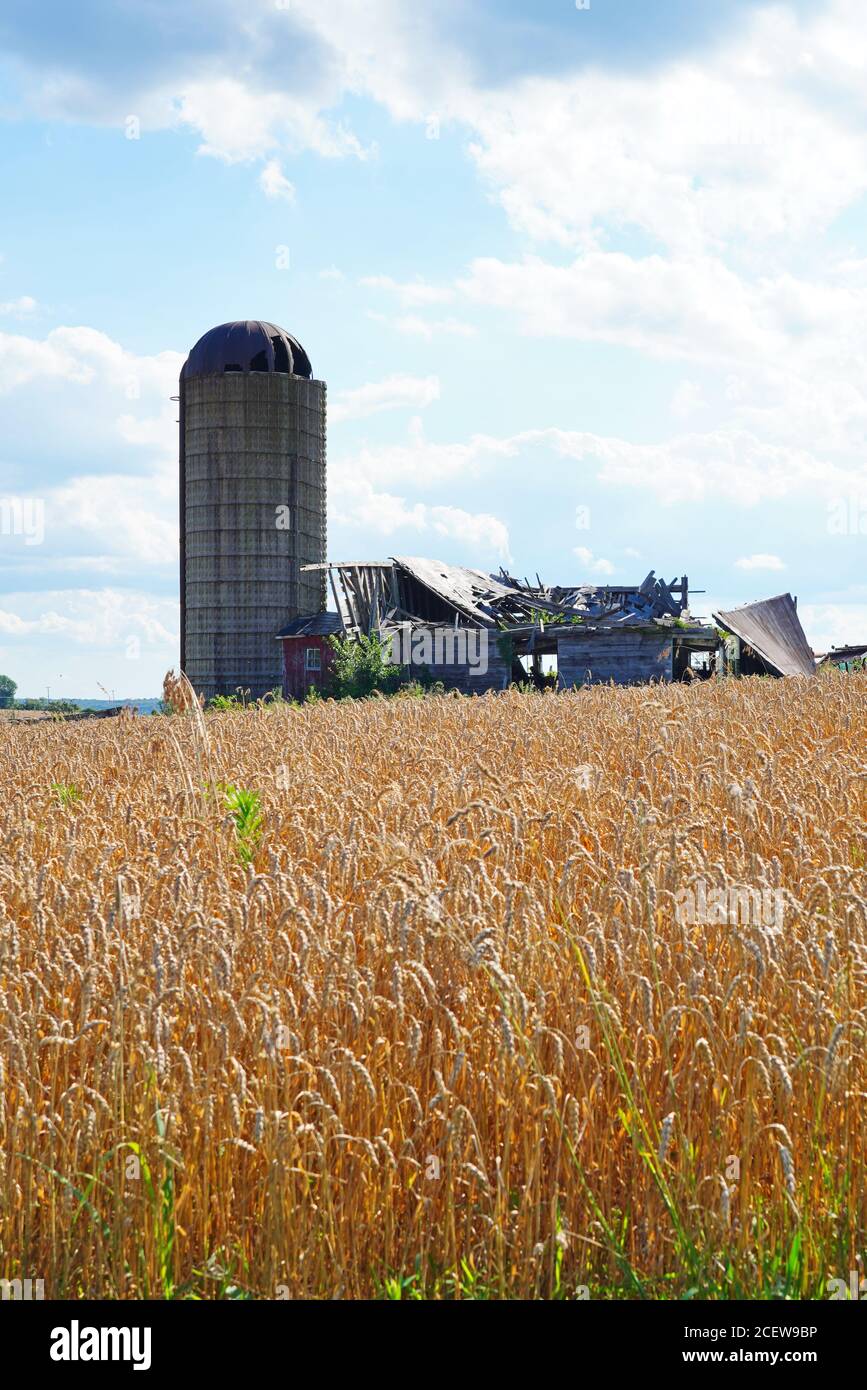 New jersey countryside hi-res stock photography and images - Alamy