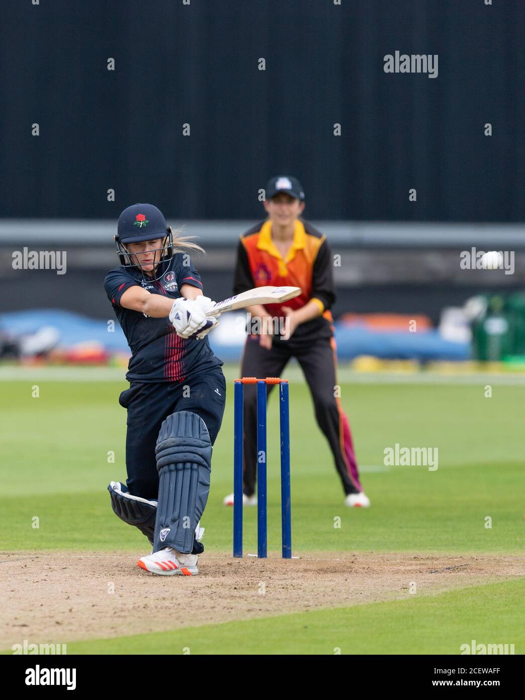 Cricket lamb hi-res stock photography and images - Alamy