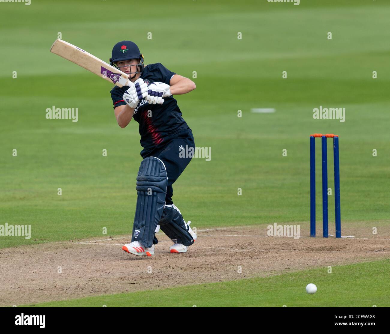 Cricket lamb hi-res stock photography and images - Alamy