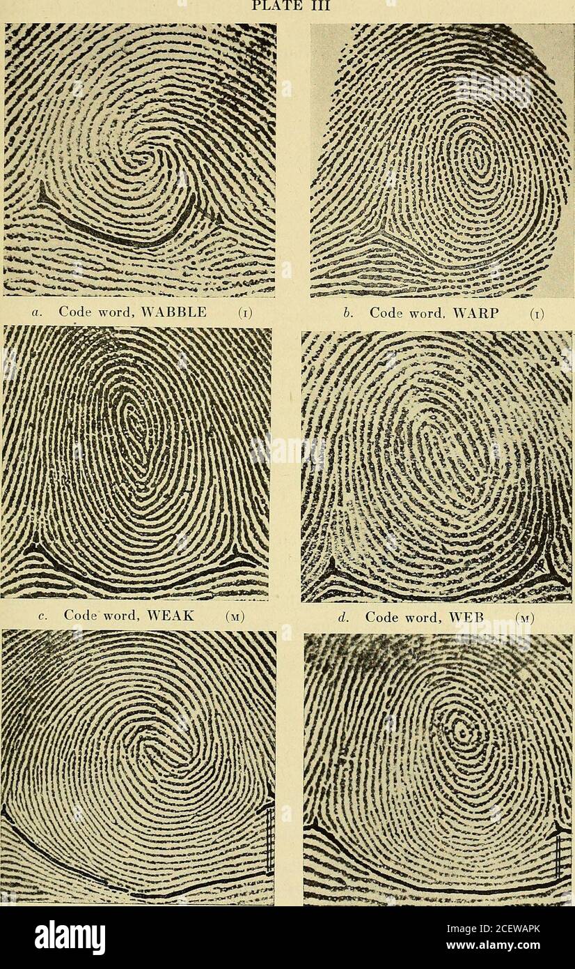 . Personal identification; methods for the identification of ...