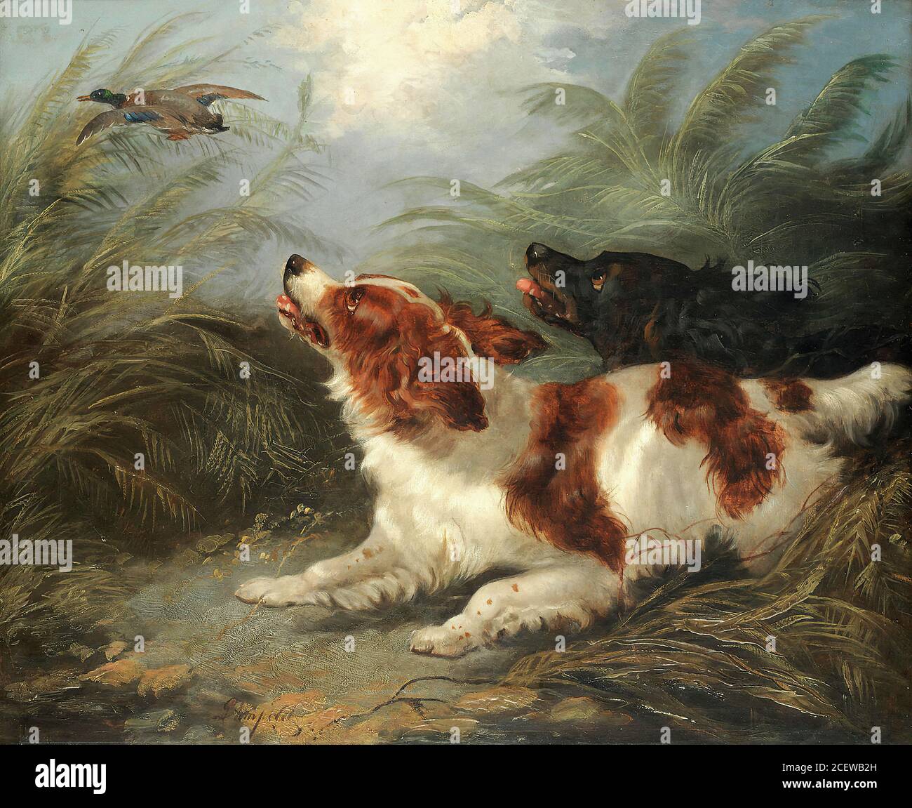 Armfield George - Spaniels Putting up a Mallard - British School - 19th ...