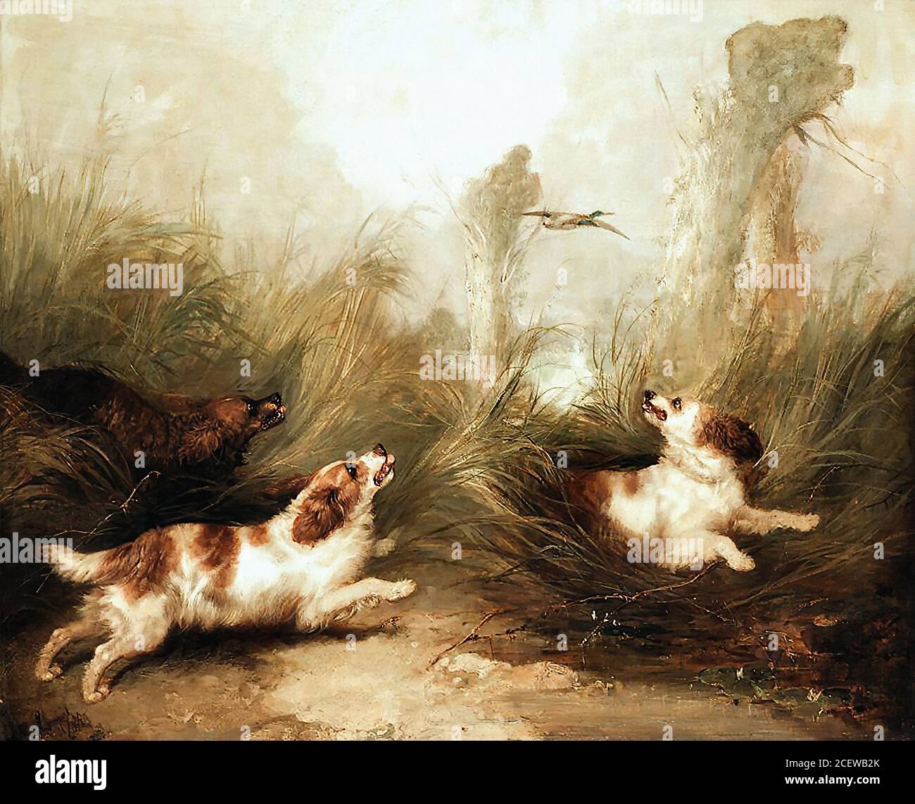 19th century gun dogs hi-res stock photography and images - Alamy