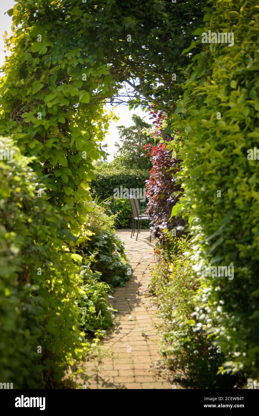 An English cottage secret garden path leads under arch to a private ...