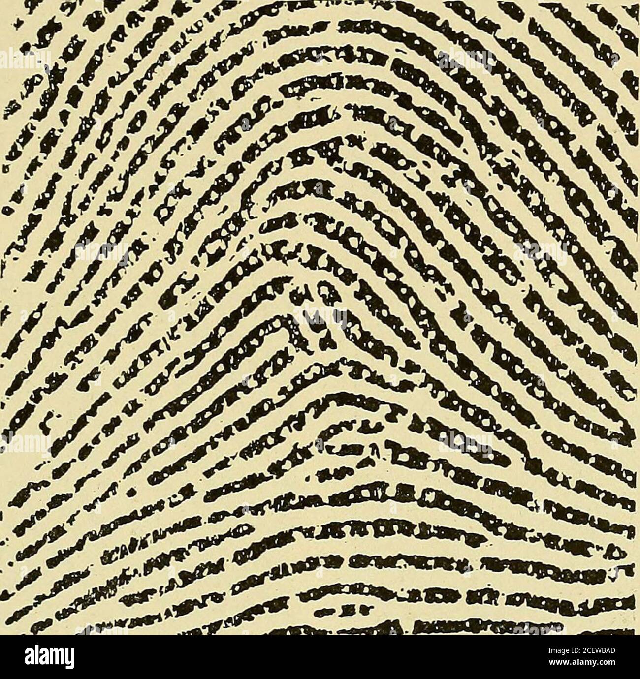 . Personal identification; methods for the identification of ...