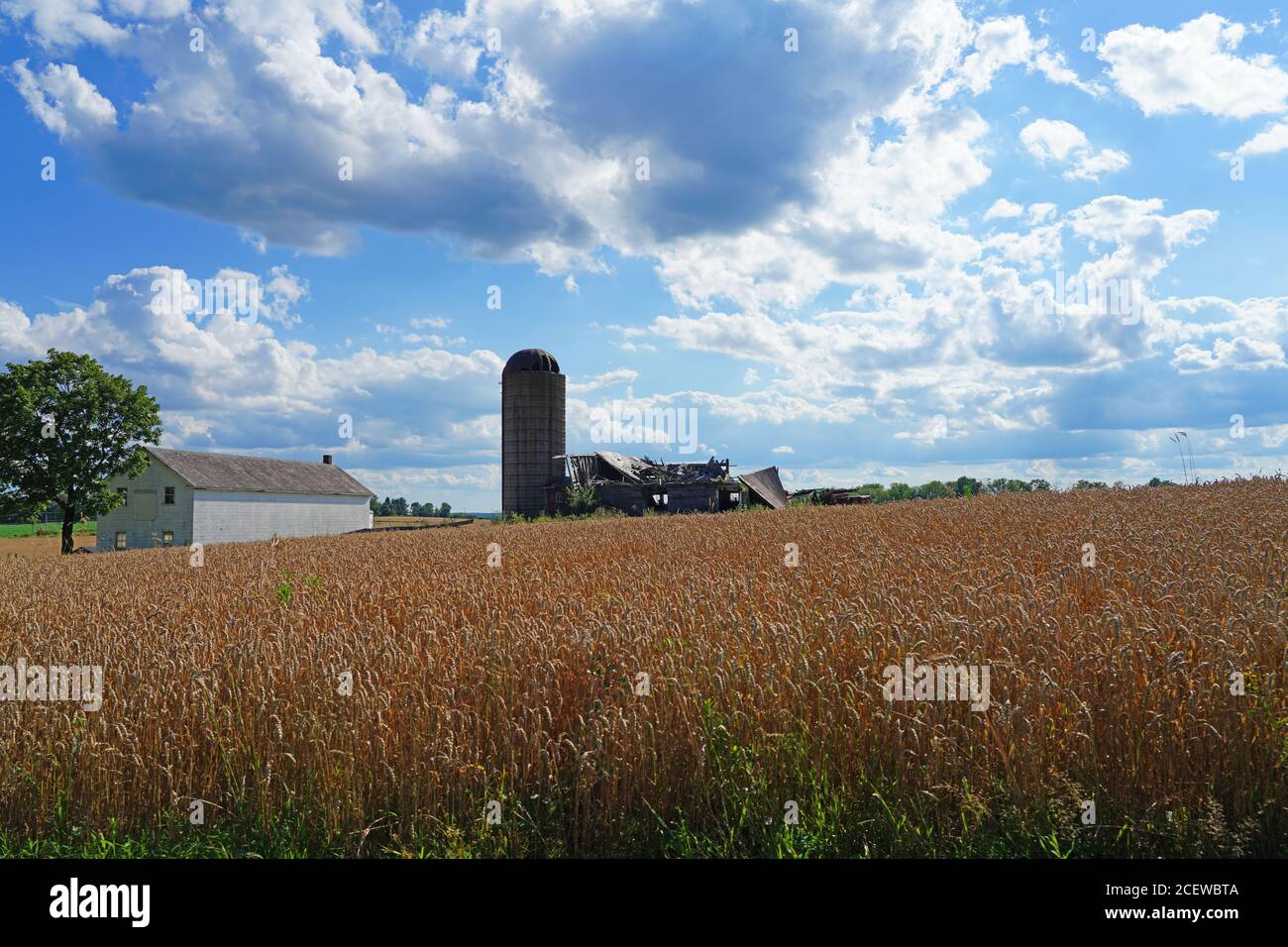 New jersey countryside hi-res stock photography and images - Alamy