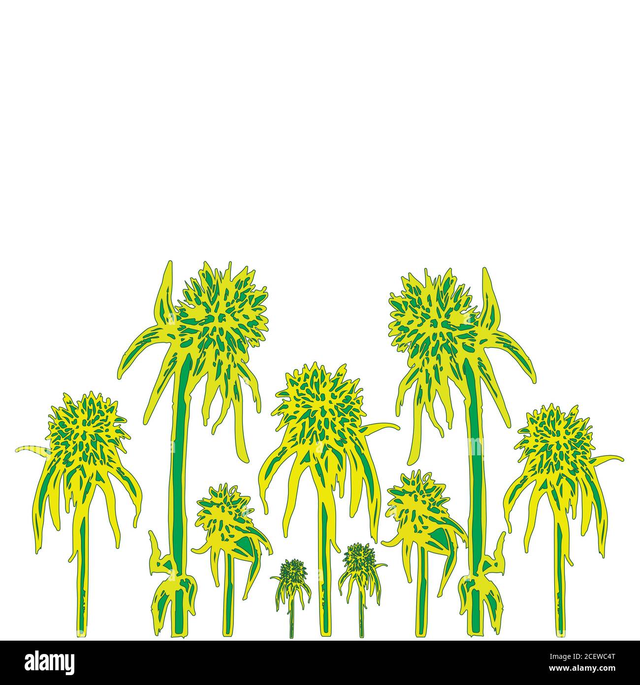 Thorn border Stock Vector Images - Alamy