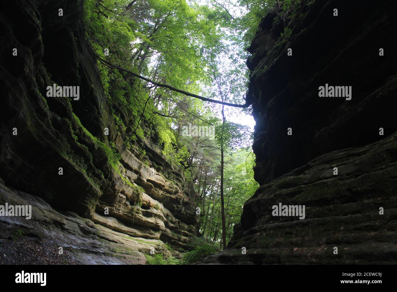 The French Canyon at Starved Rock State Park, Illinois Stock Photo - Alamy