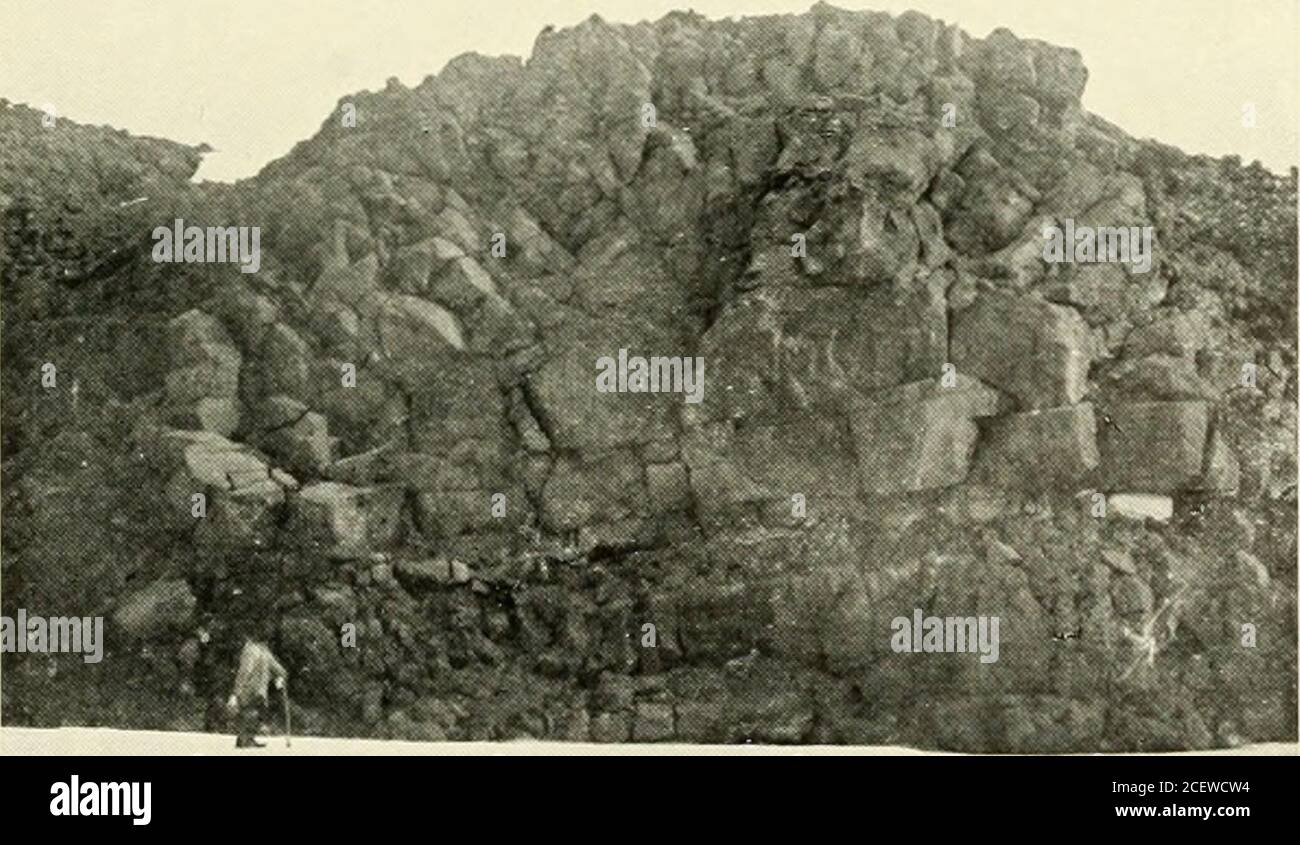 Cainozoic hi-res stock photography and images - Alamy