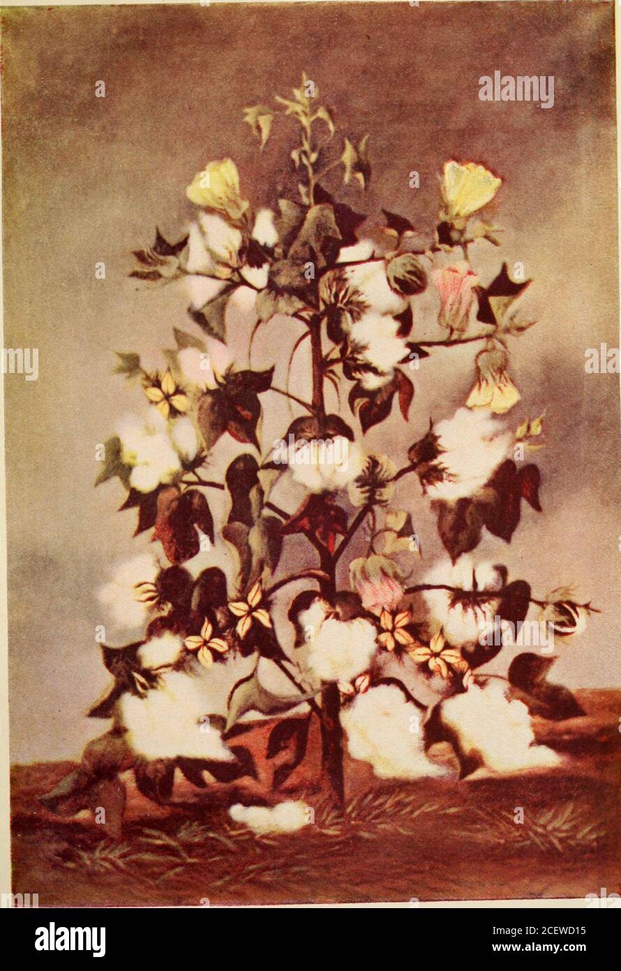 John emberson hi-res stock photography and images - Alamy