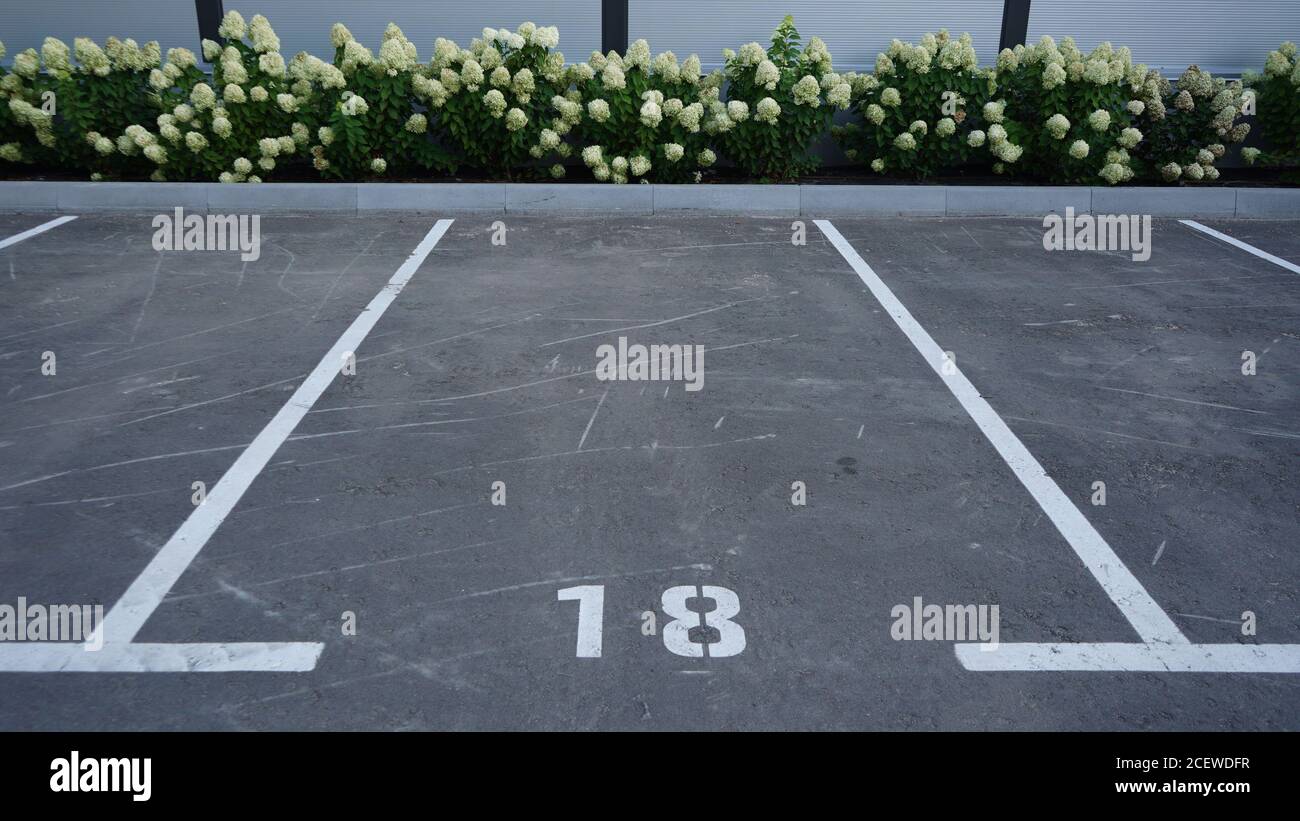 Parking lot marking number hi-res stock photography and images - Alamy