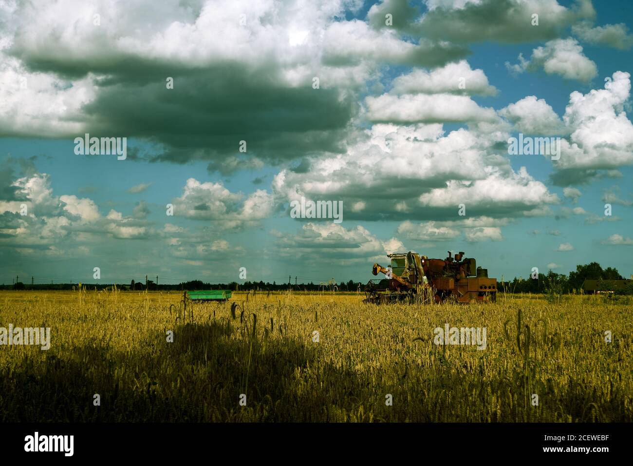Background with wheat field, harvester and amazing August sky Stock ...