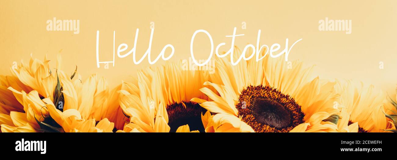Hello October Facebook Covers