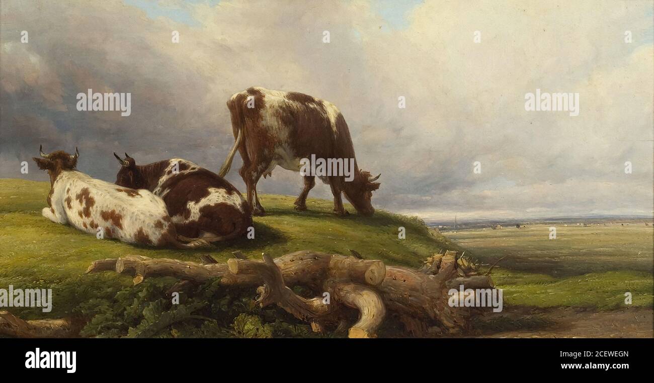 Baker of Leamington Thomas - Extensive Landscape with Cows - British School - 19th Century Stock ...