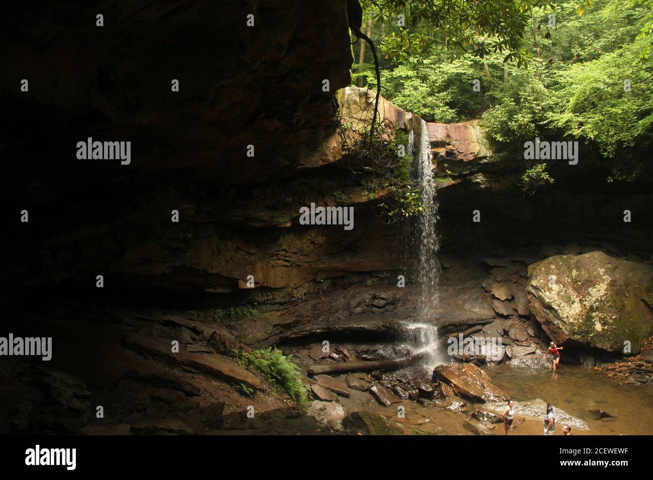 The Cucumber Falls at Ohiopyle State Park, PA, USA Stock Photo - Alamy