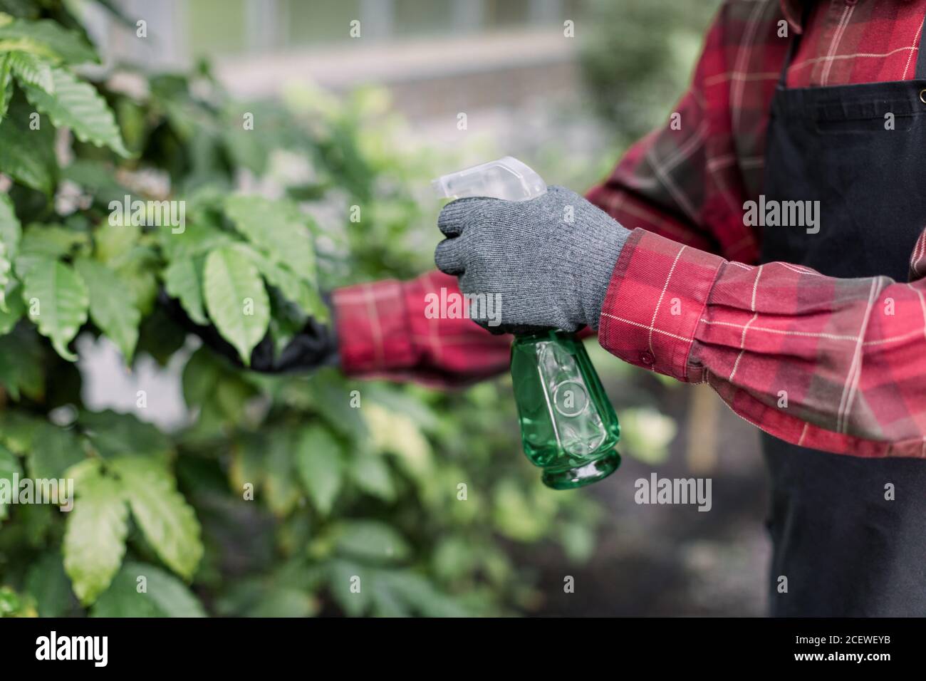 Grandfather spraying hi-res stock photography and images - Alamy