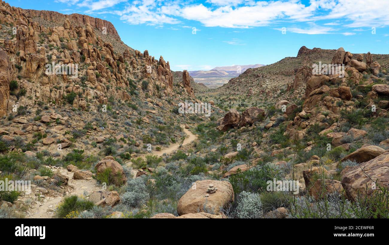 The Delightful Grapevine Hills Trail in Big Bend National Park Stock ...