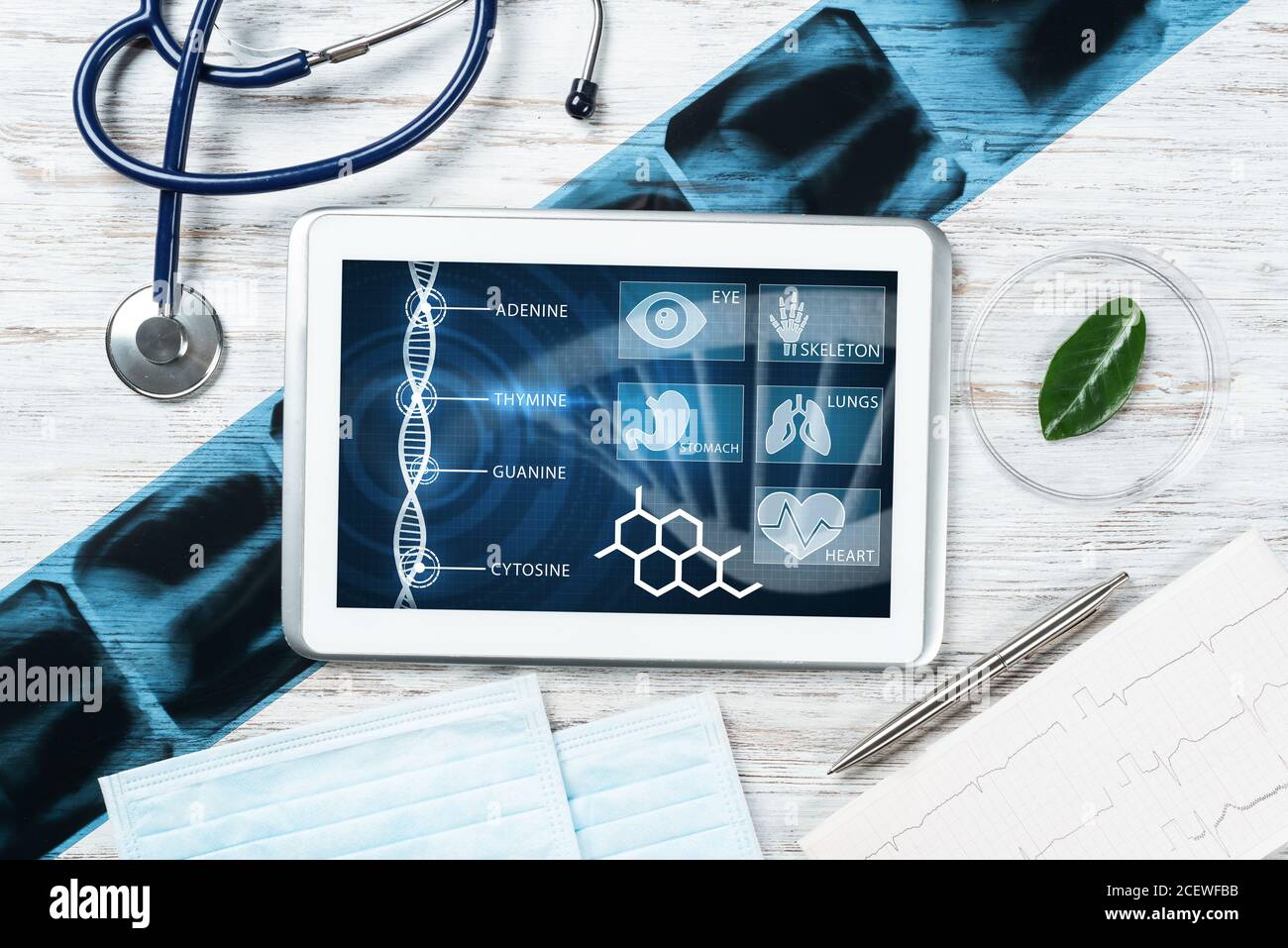 Modern social health insurance program Stock Photo - Alamy