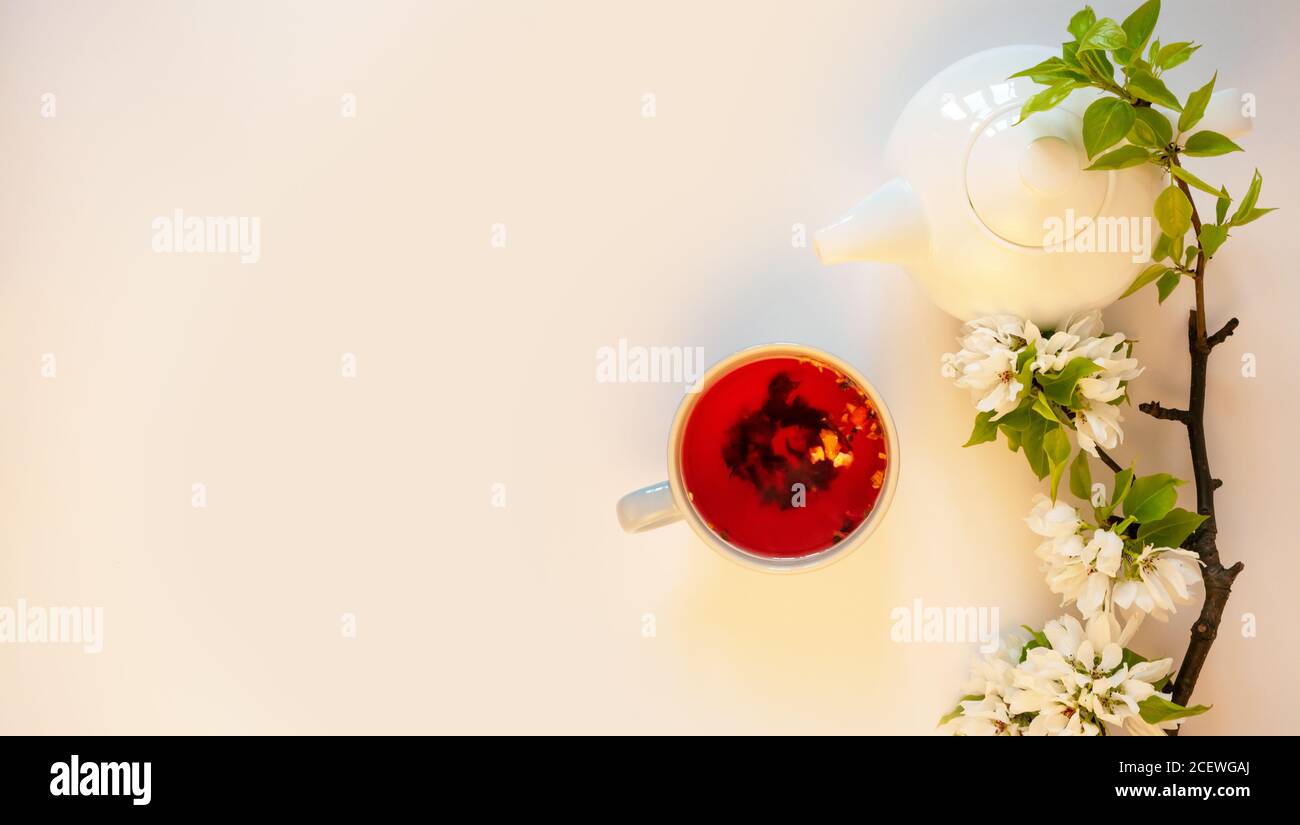 White tea pot, red fruit tea, apple tree blossom white background flat ...