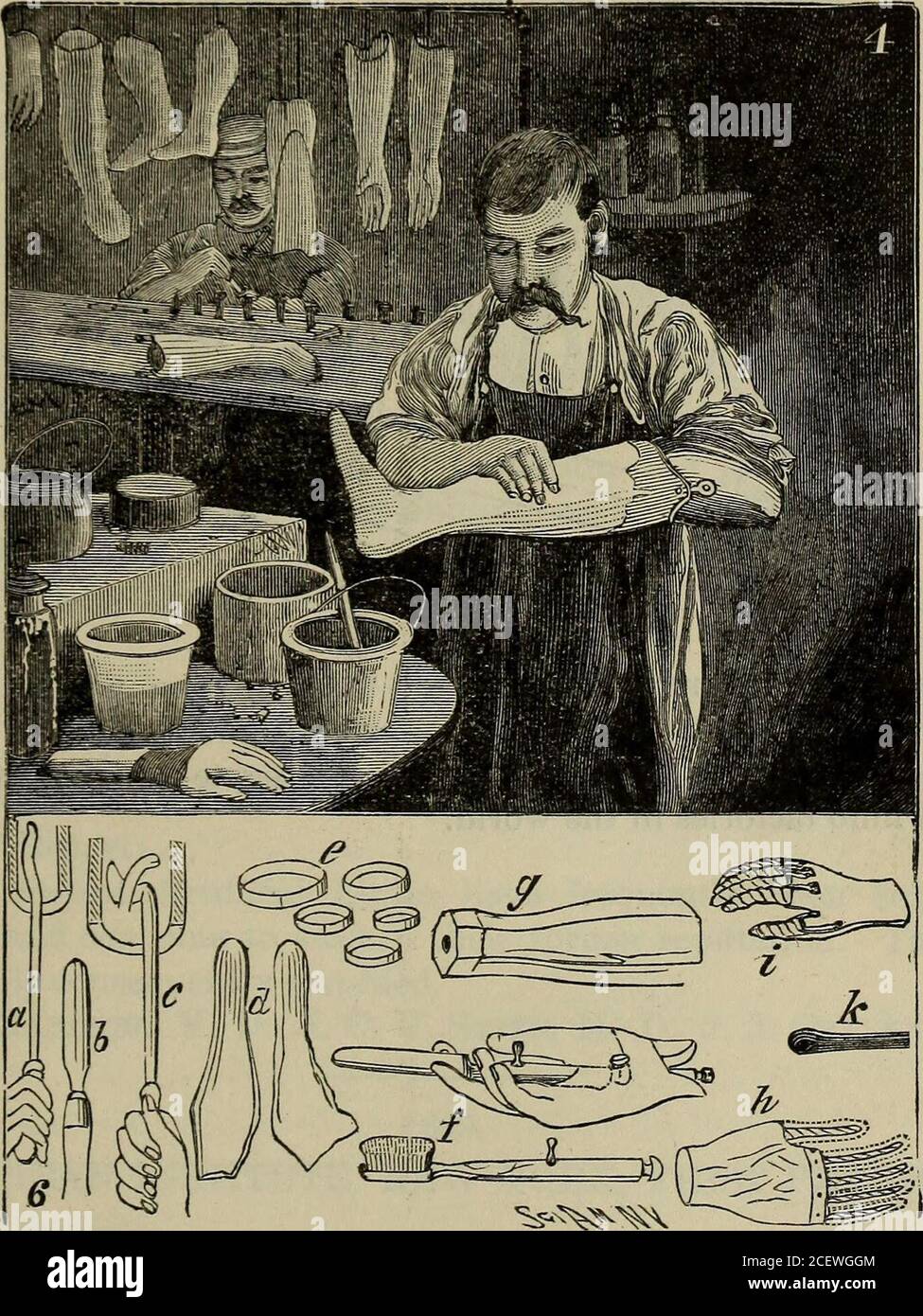 Rubbertoe hi-res stock photography and images - Alamy