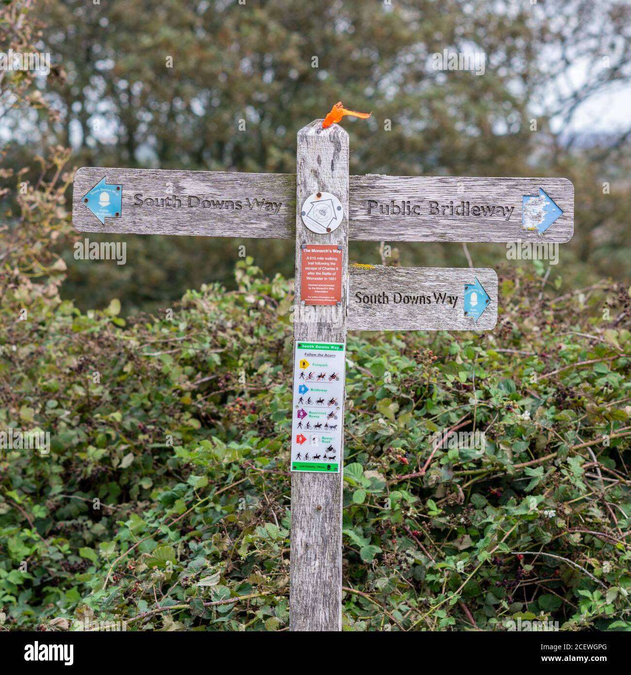 Direction signpost on the South Downs Way long distance trail through ...