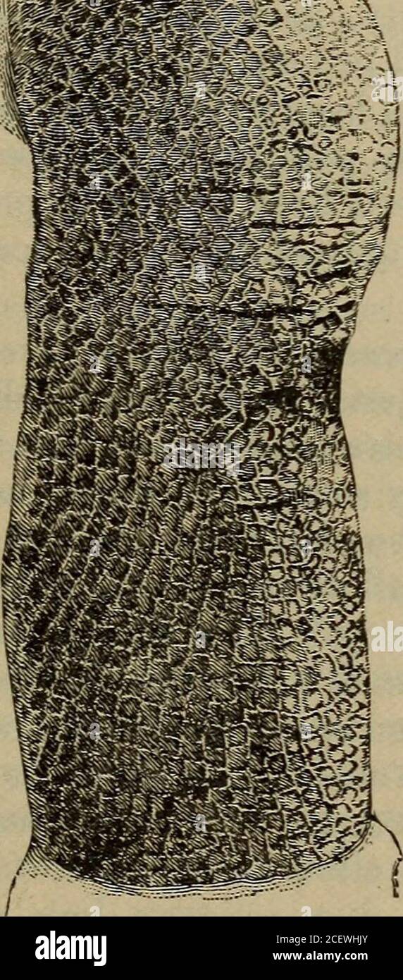 . The ready-reference handbook of diseases of the skin. in amount ...