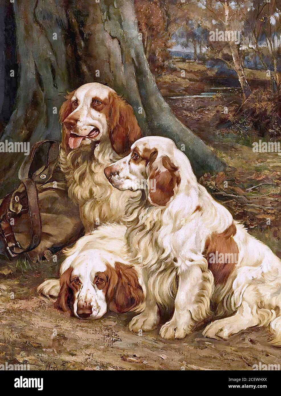 Barker Wright - Clumber Spaniels - British School - 19th Century Stock ...