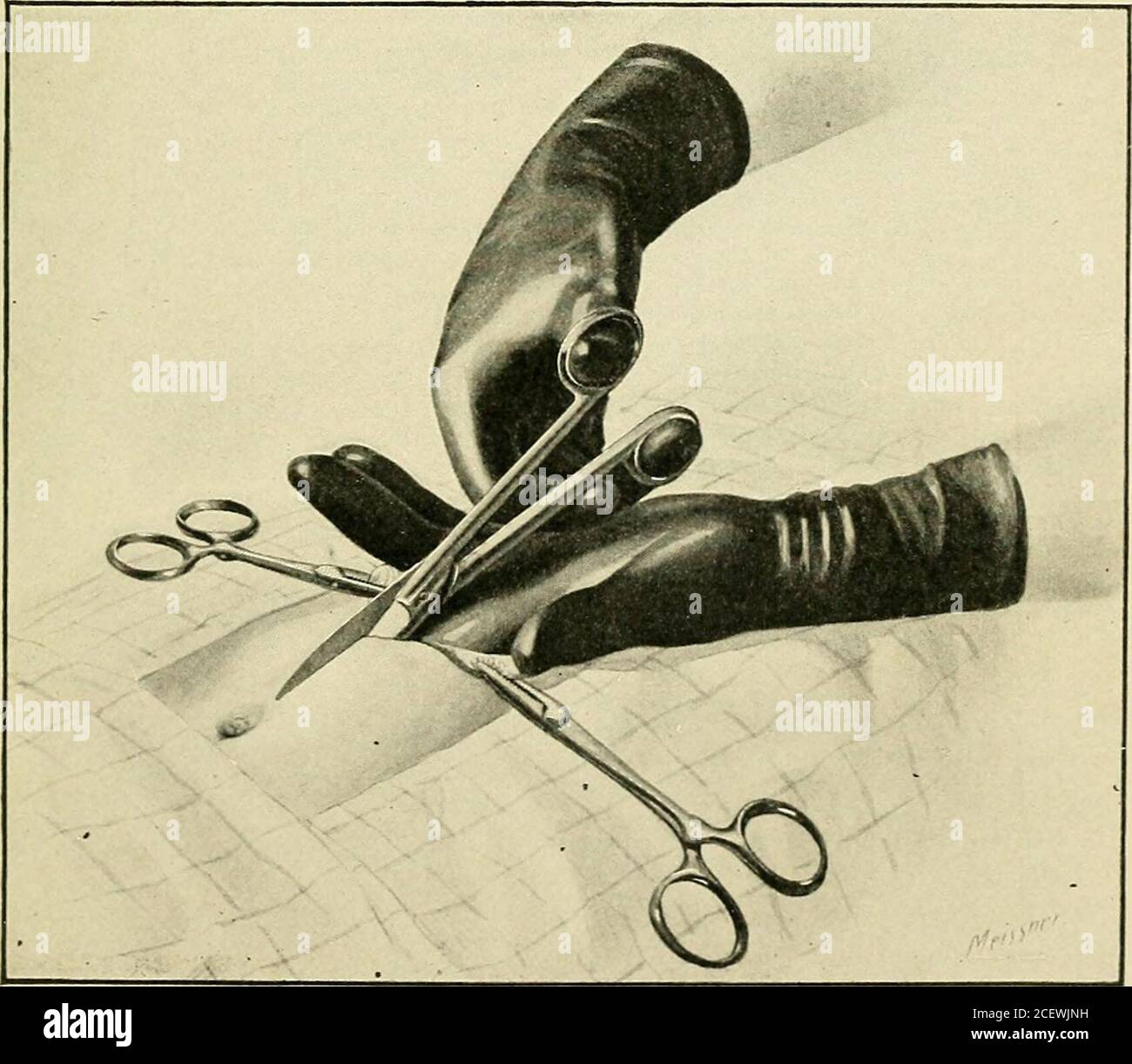 . The Principles and practice of gynecology : for students and ...