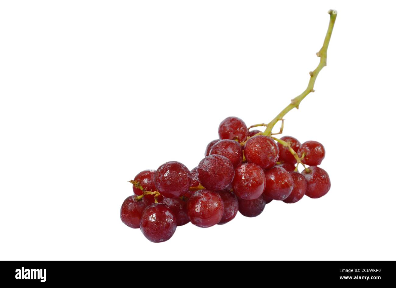 Grape seed hi-res stock photography and images - Alamy