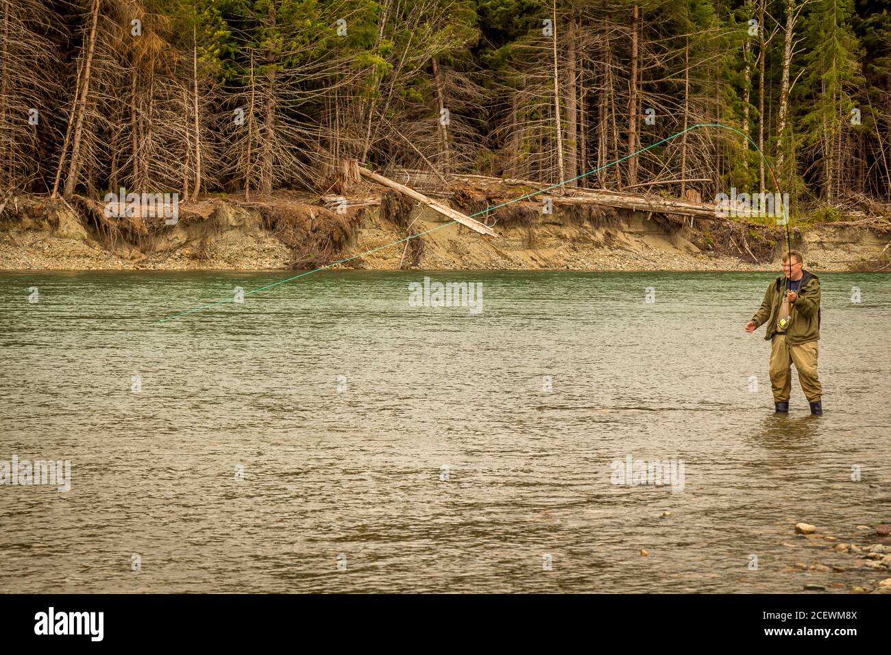 Coho salmon british columbia hi-res stock photography and images - Alamy