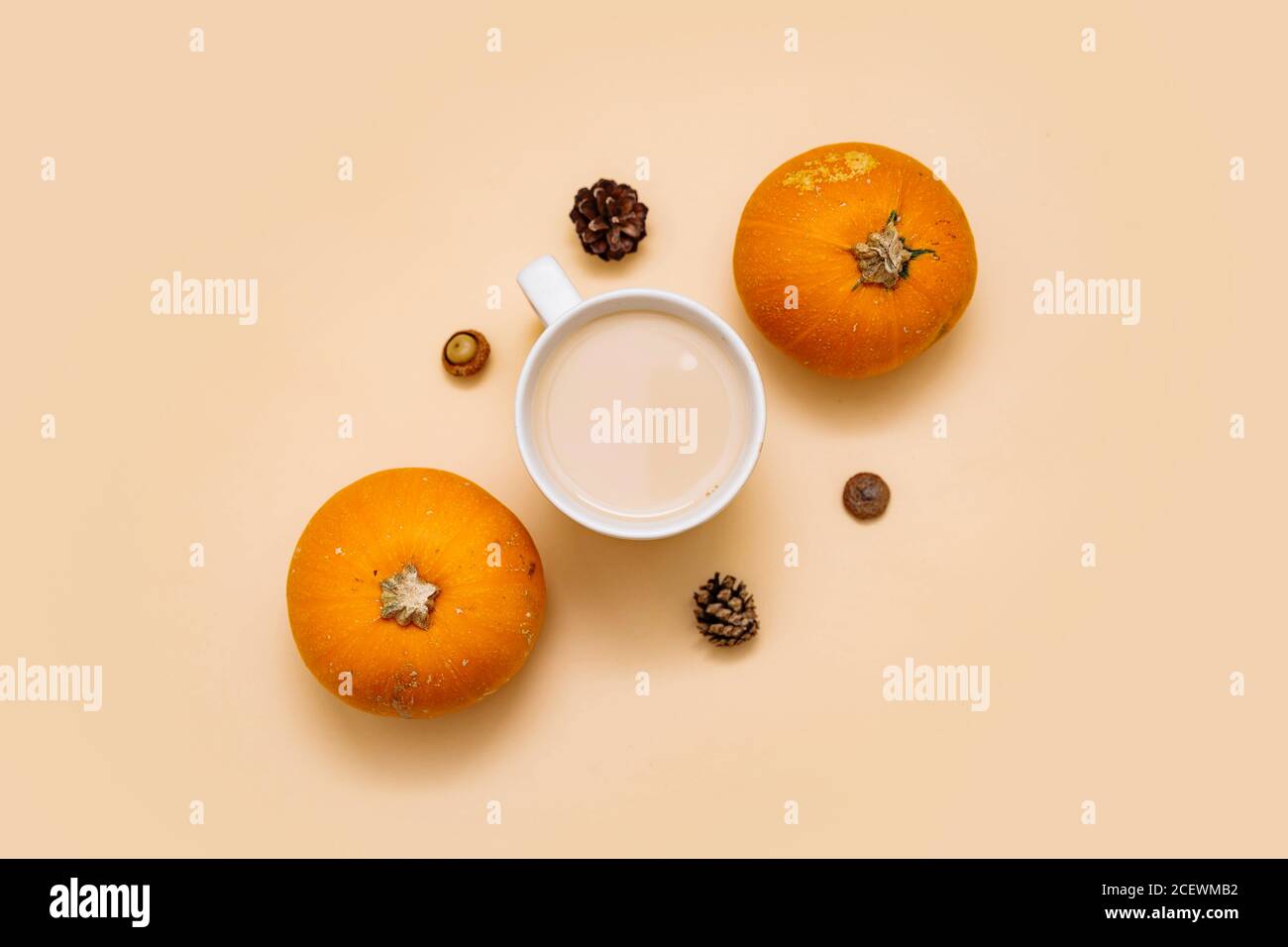 Top view of pumpkin and cones flat lay. orange color. Harvest or ...