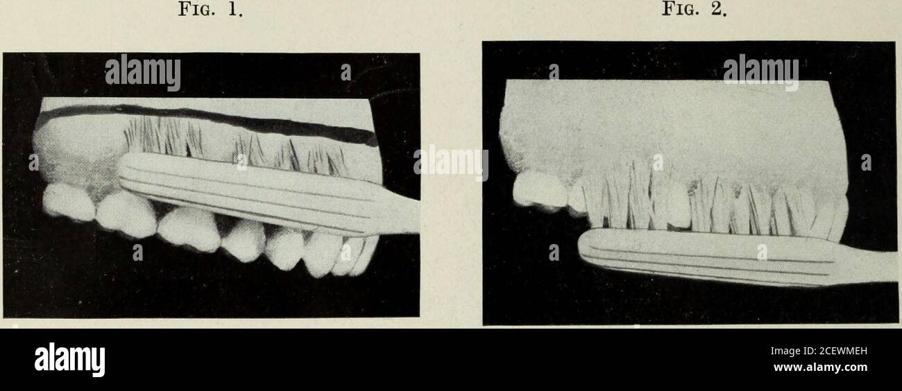 . The Dental cosmos. ministered through the Gregg inhaler, asshown in ...