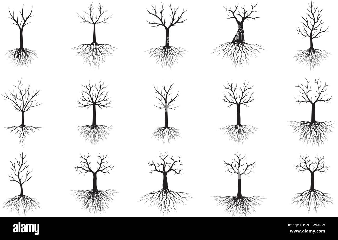 Set black Trees with Roots. Vector outline Illustration. Plant in ...