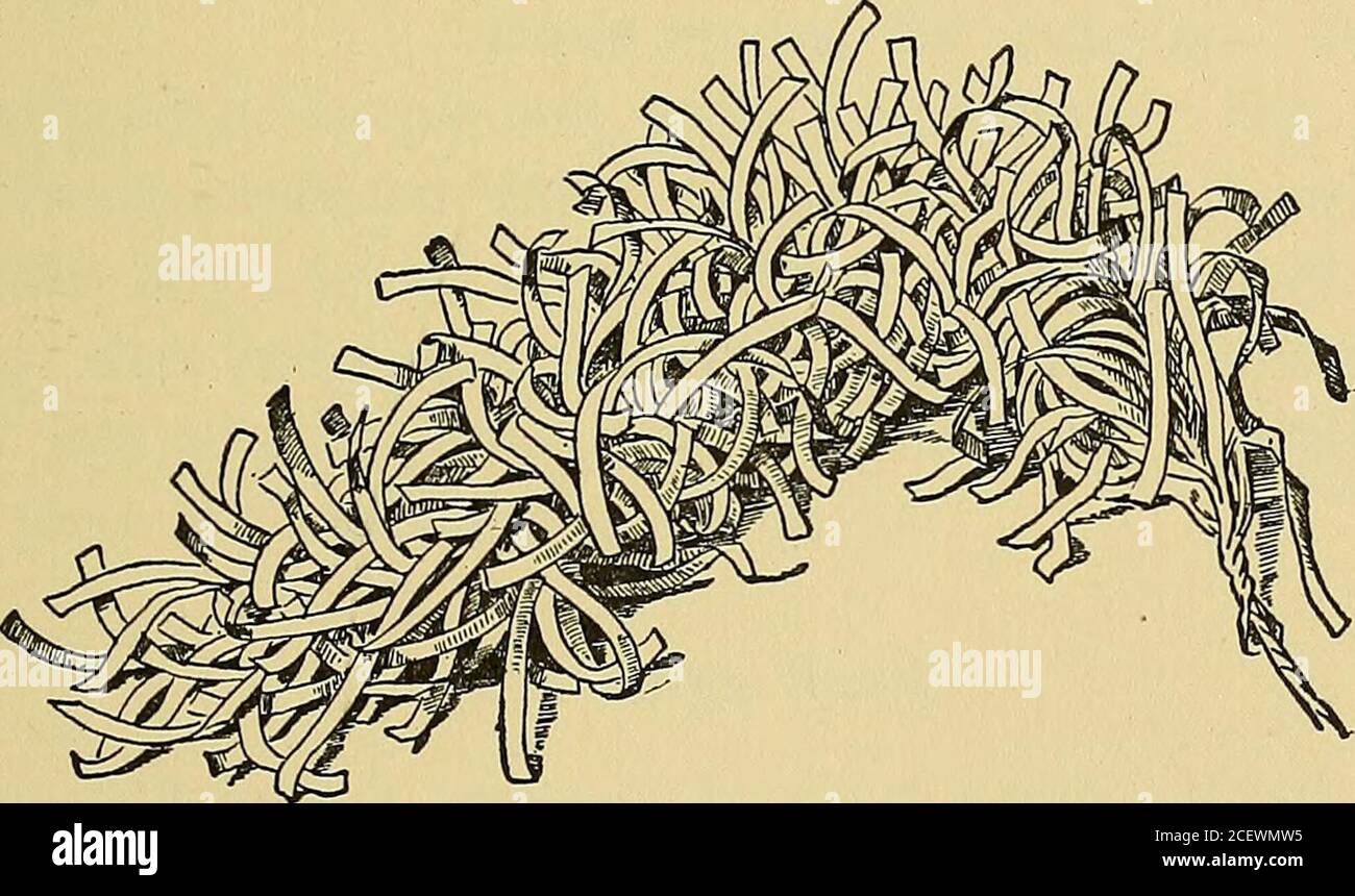 Loosen rope hi-res stock photography and images - Alamy