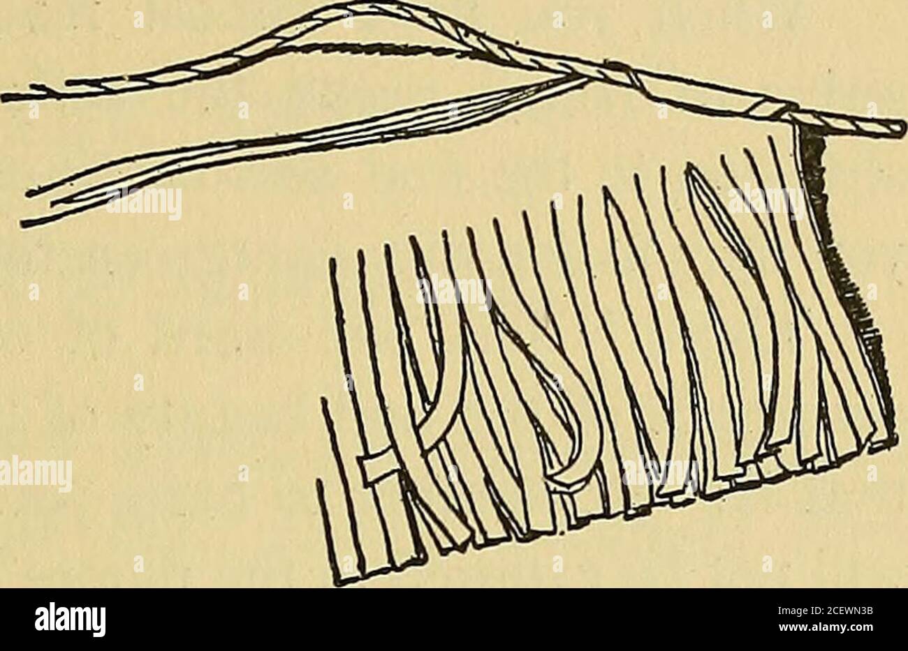 Crosswise fold hi-res stock photography and images - Alamy