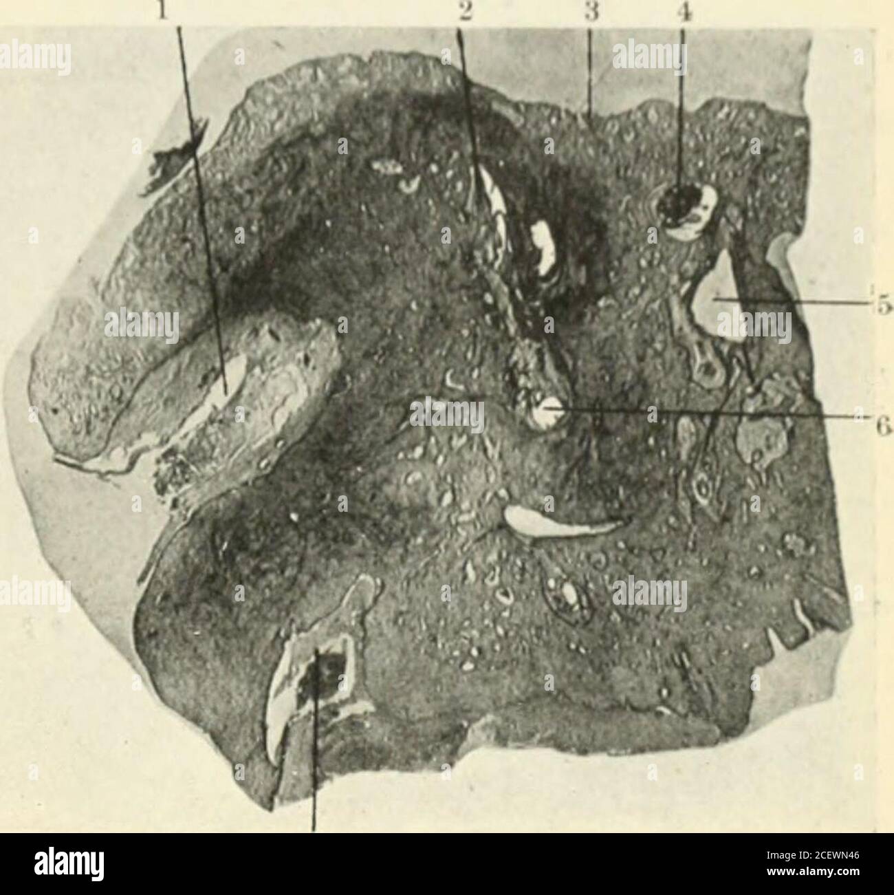 Junction 1a hi-res stock photography and images - Alamy