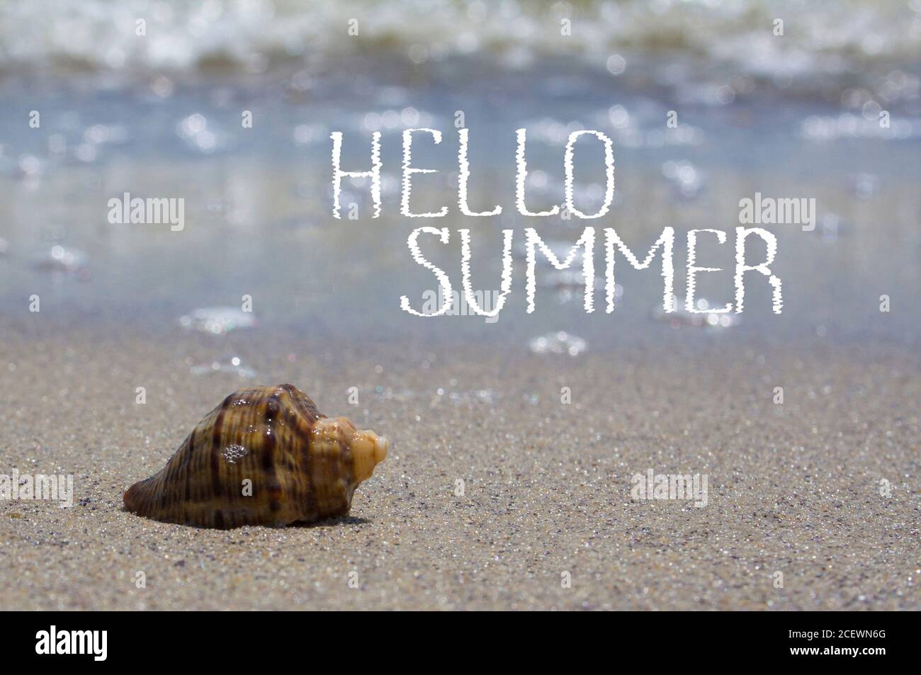 Summer beach vacation background with seashell, sand, sea, sunlight and ...