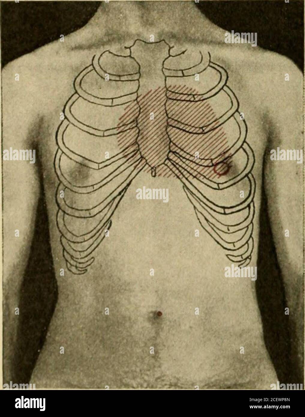 . Diseases of the heart and arterial system; Designed to be a practical ...