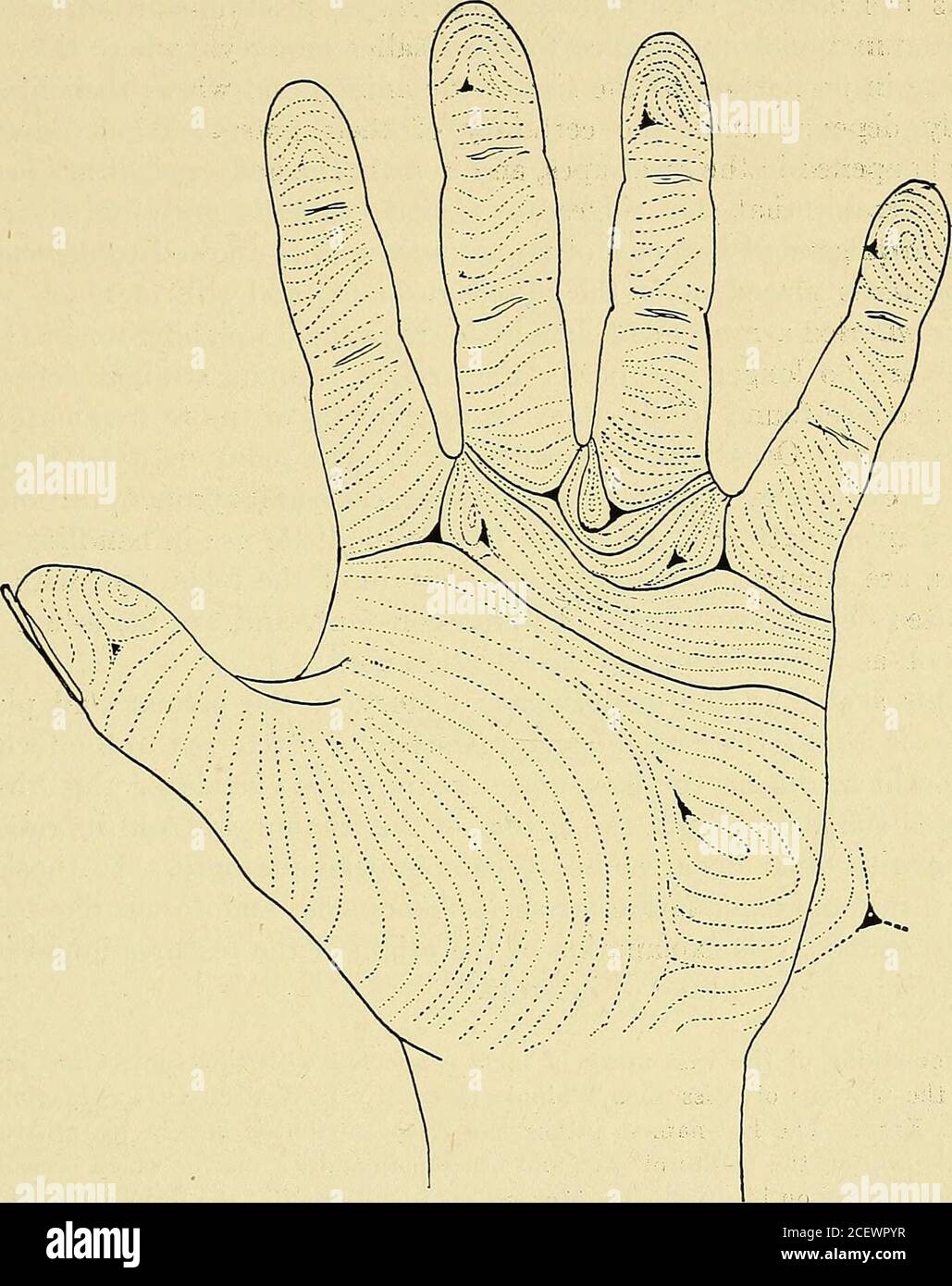 . Personal identification; methods for the identification of ...