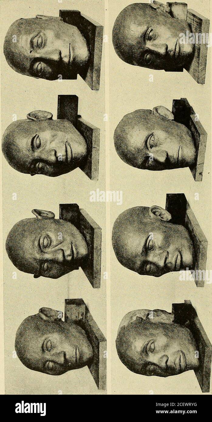 Piriform shape hi-res stock photography and images - Alamy