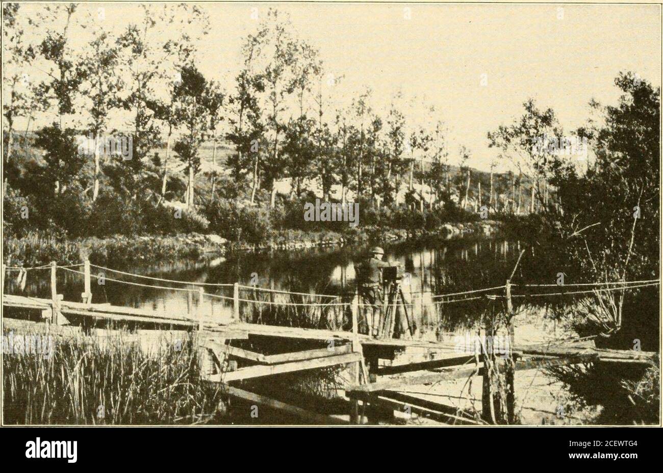 Several captured german machine guns hi-res stock photography and ...