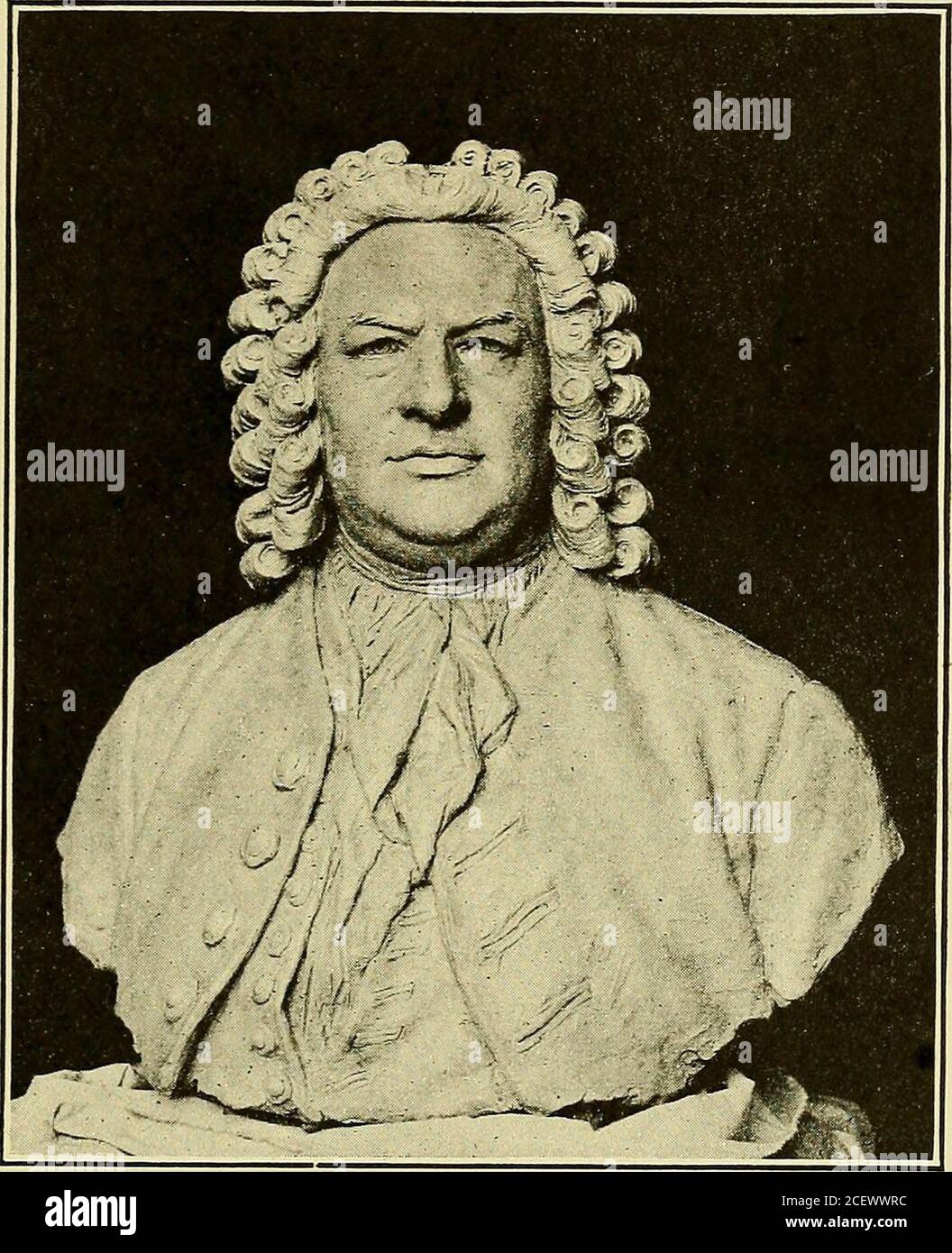 Robust skull hi-res stock photography and images - Alamy