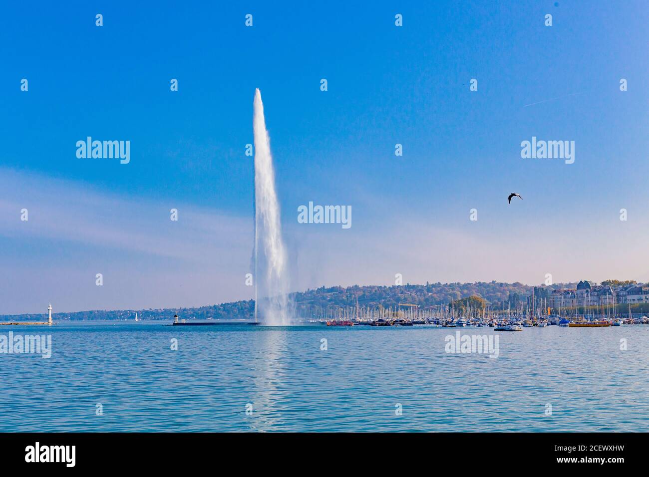Aerial view geneva rhone river hi-res stock photography and images - Alamy
