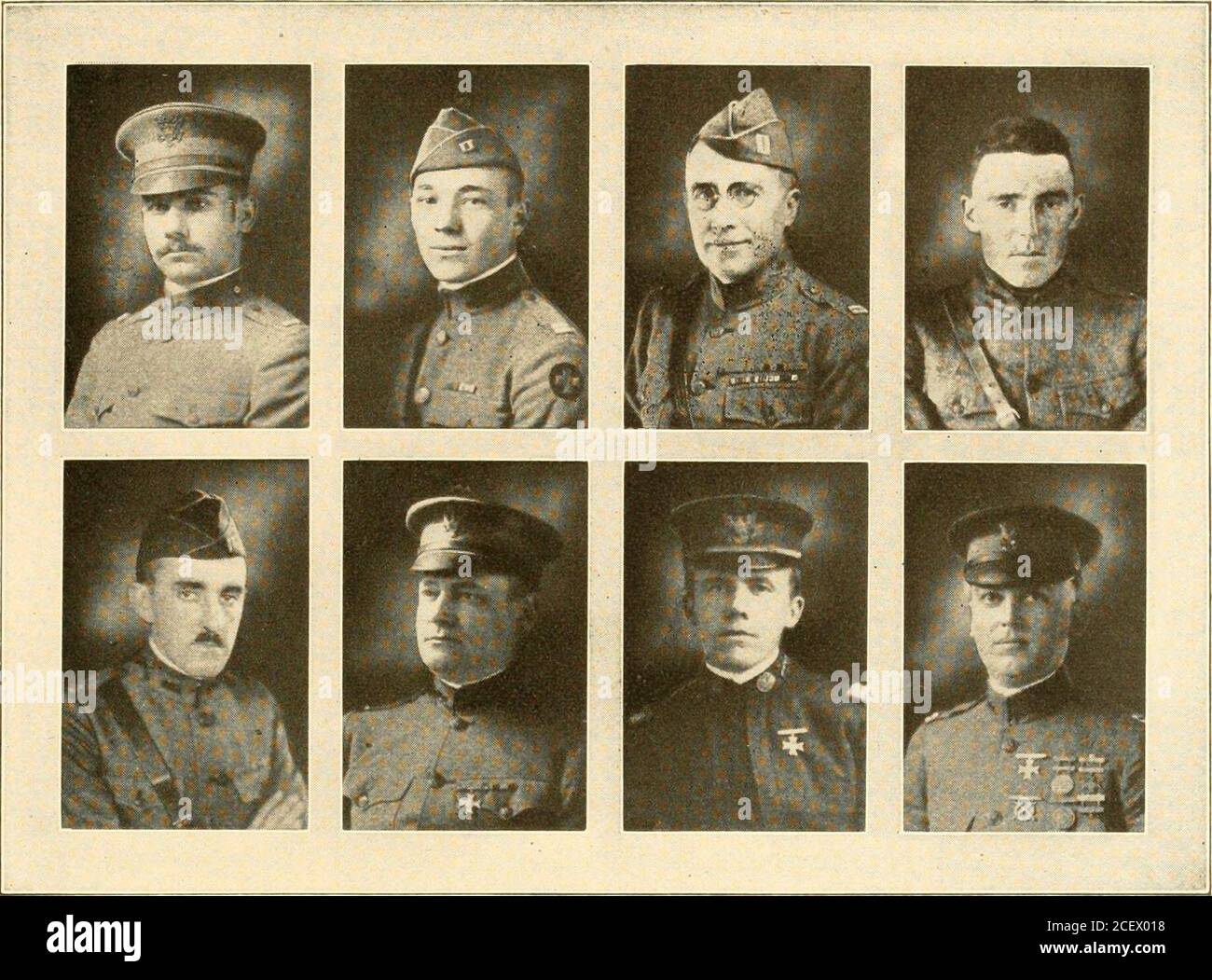 . Illinois in the World War; an illustrated record prepared with the ...