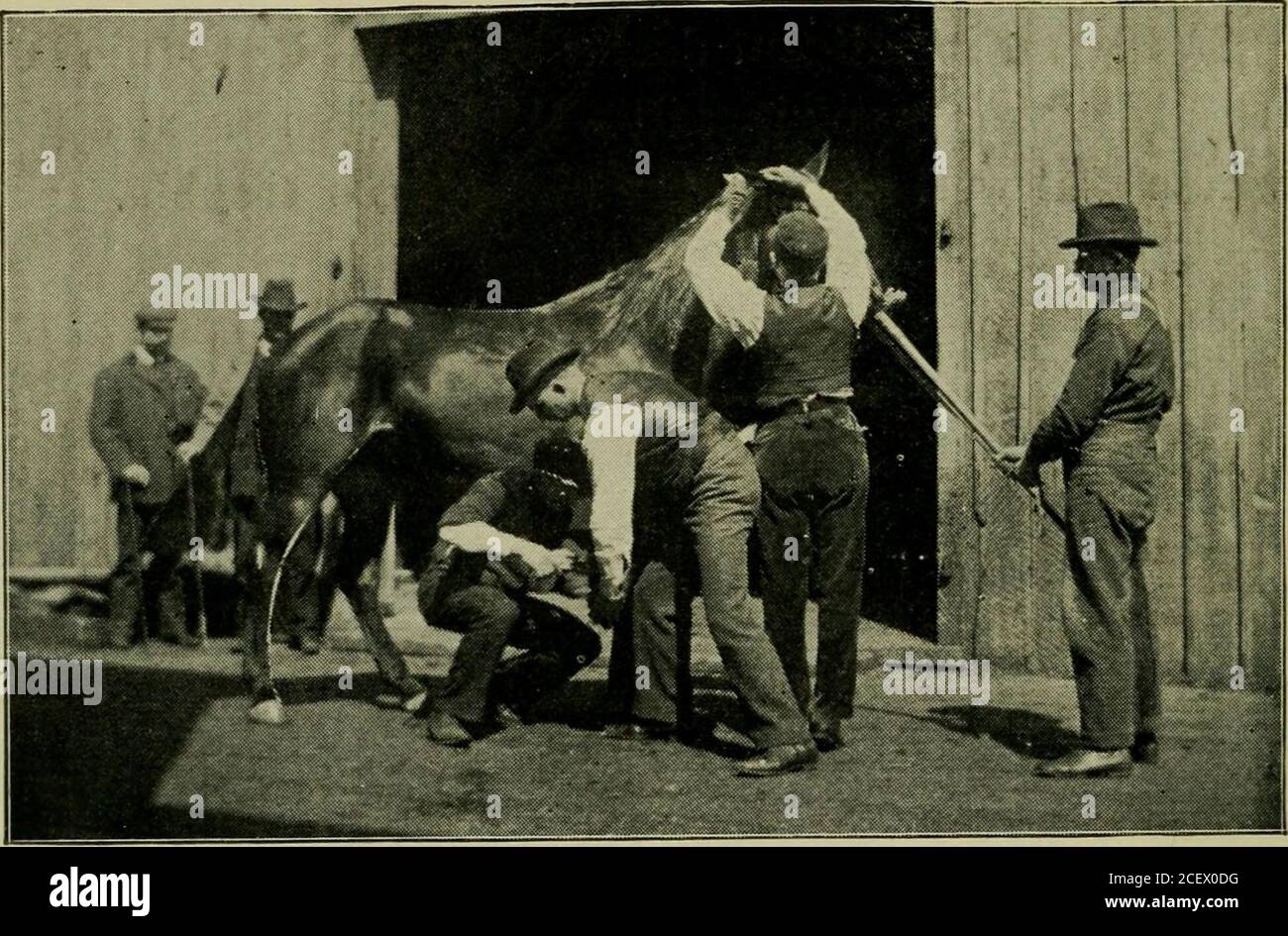 . Illustrated history of the Union Stockyards; sketch-book of familiar ...
