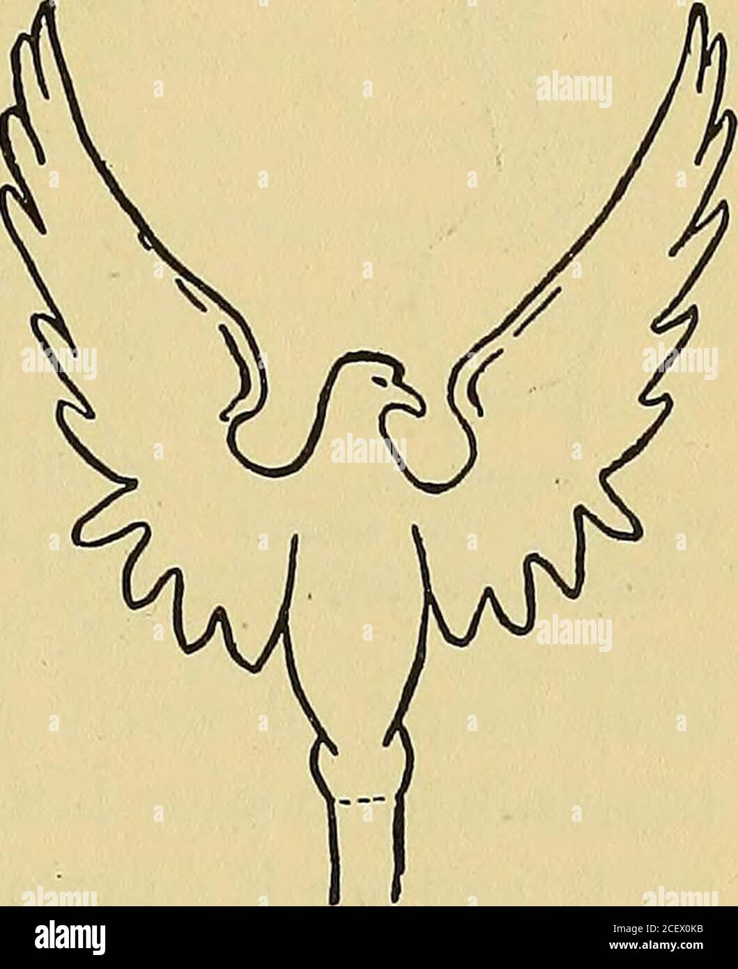 Zeus Symbol Eagle Drawing