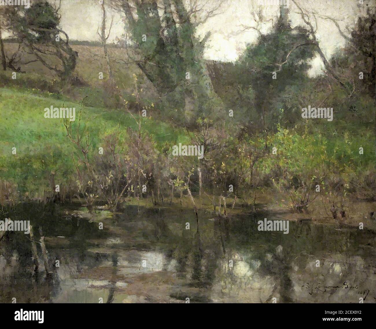 Lamorna birch hi-res stock photography and images - Alamy