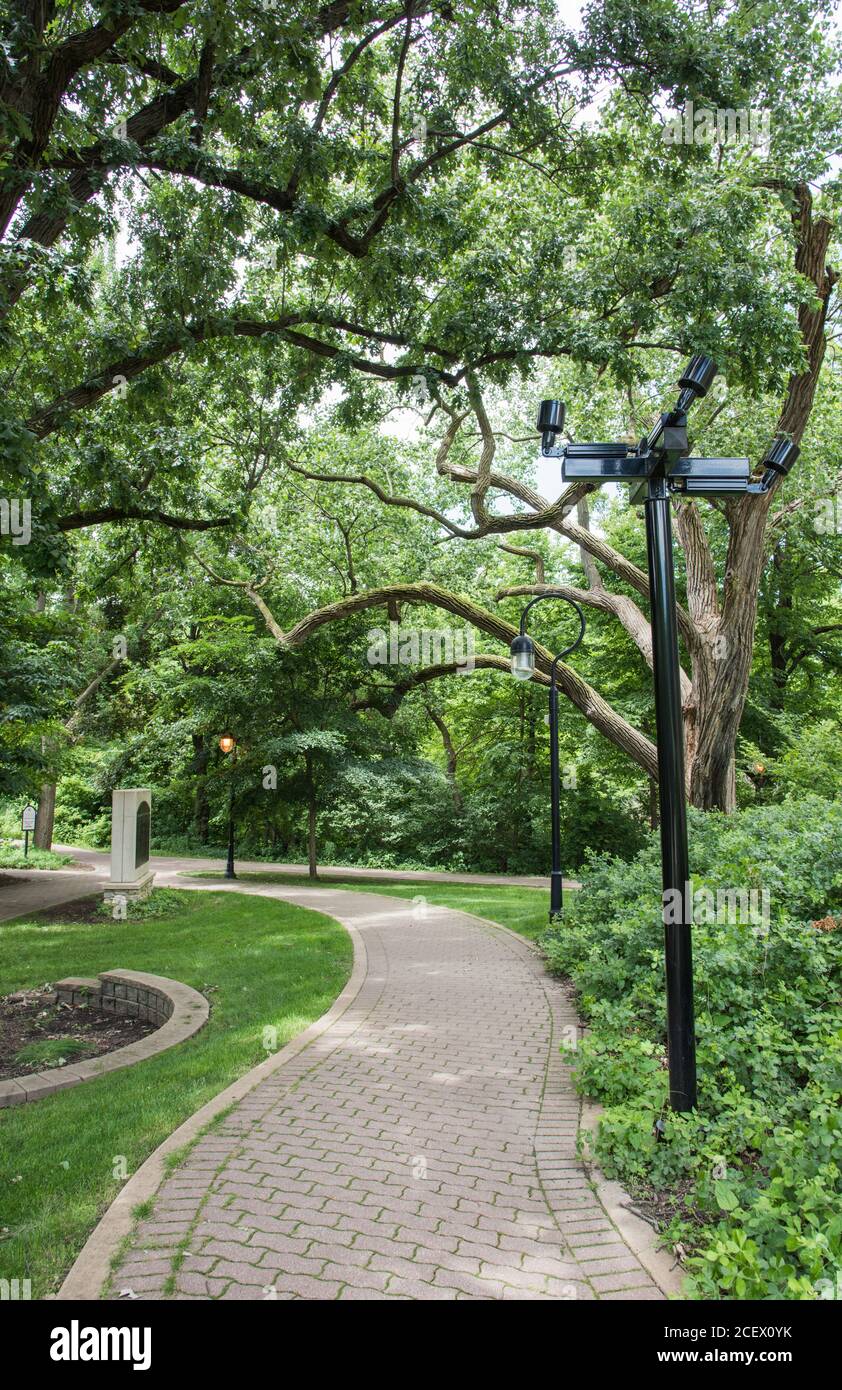 Brick riverwalk path through the lush greenery with shepherd's hook ...